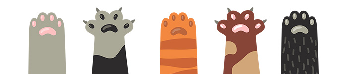 Understanding Caterwauling In Cats | YoyiPet